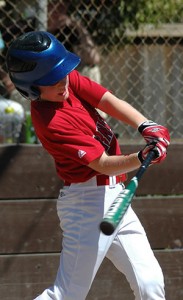 Approved Bats - Tiburon Peninsula Little League